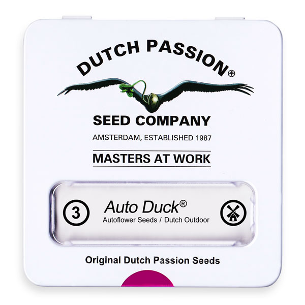 DUCK AUTO [PACK X3 SEMILLAS] [DUTCH PASSION] – LOYALTY GENETICS