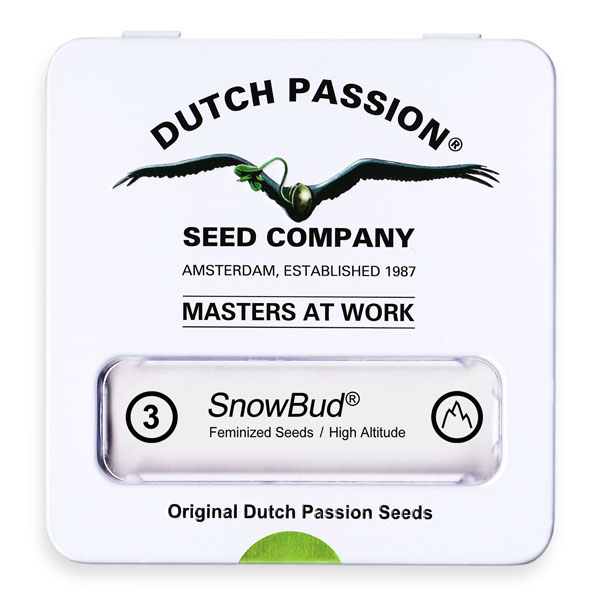 SNOW BUD FOTOPE [PACK X3 SEMILLAS] [DUTCH PASSION] – LOYALTY GENETICS